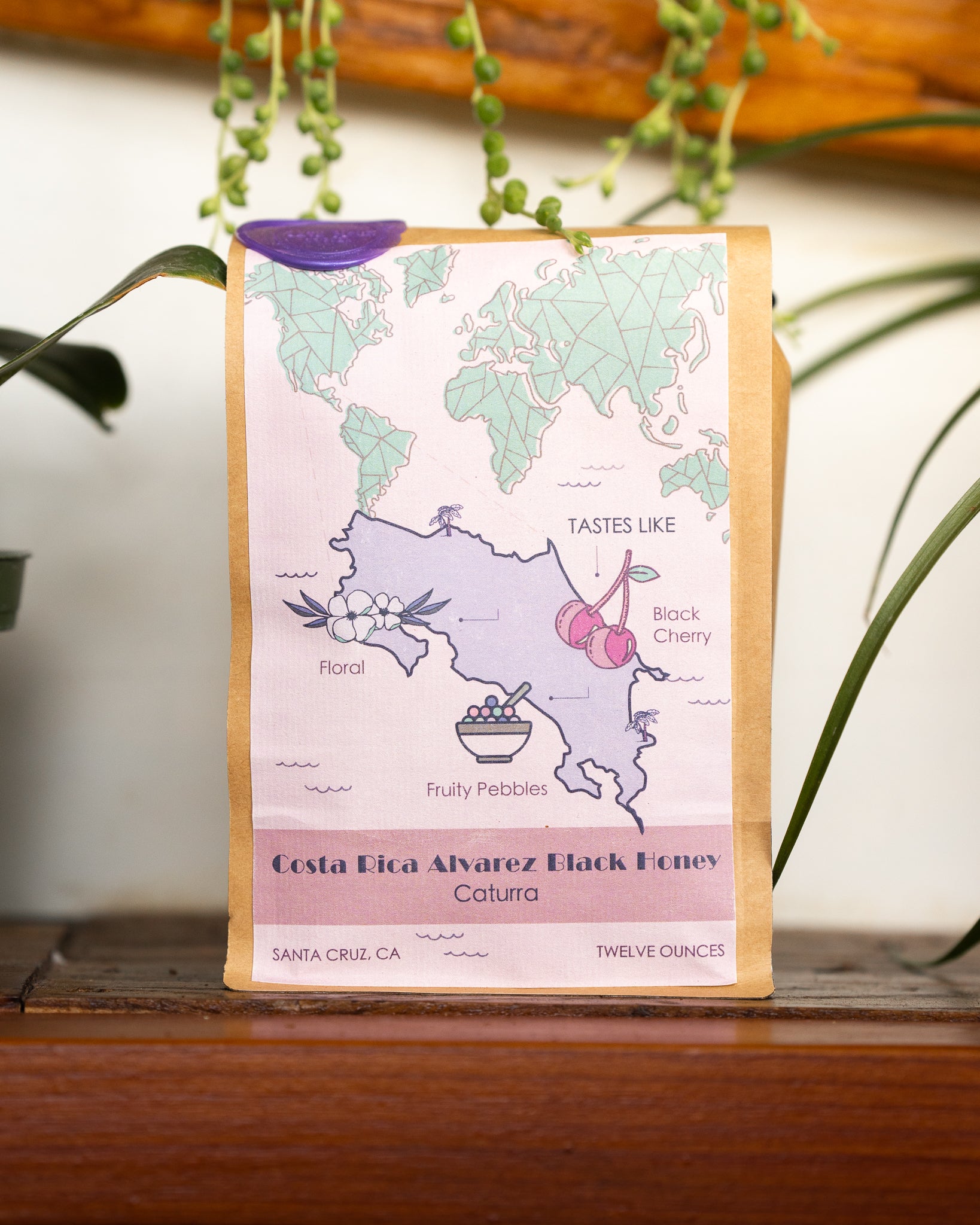 Costa Rica Alvarez Black Honey | 11th Hour Coffee